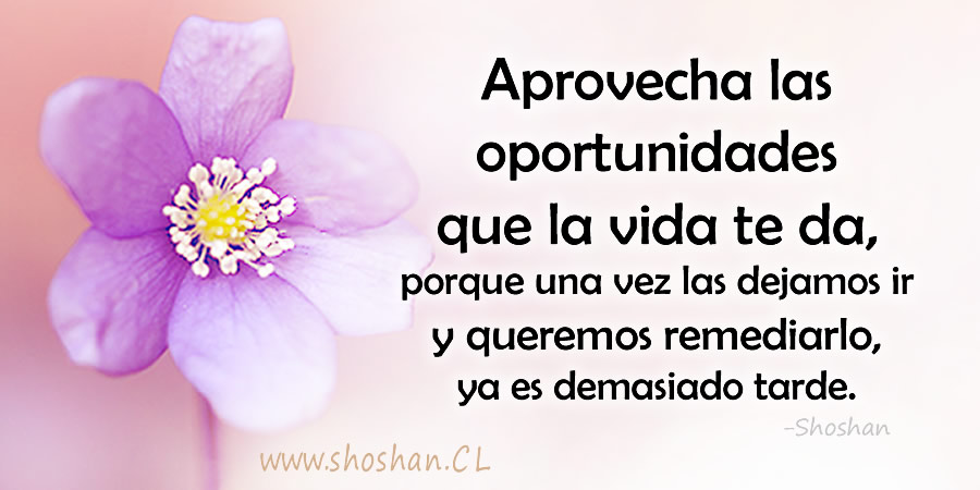 Las oportunidades en la vida Las oportunidades en la vida