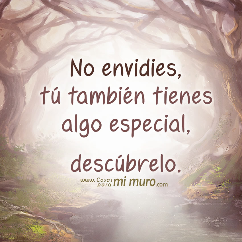 Reflexión acerca de la envidia